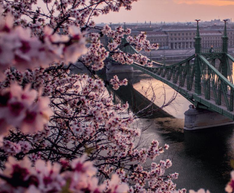 Danube Dreams| TISCO Wealth